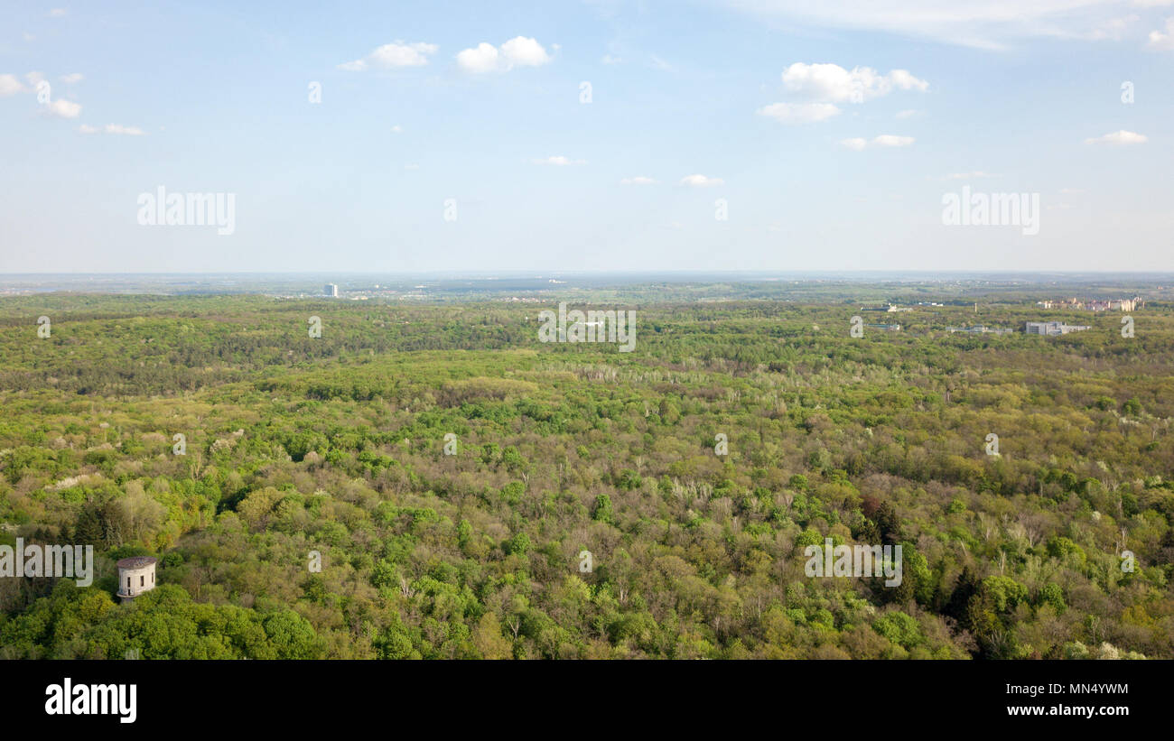 Panoramic view of green forest and blue sky. Photo from the drone Stock ...