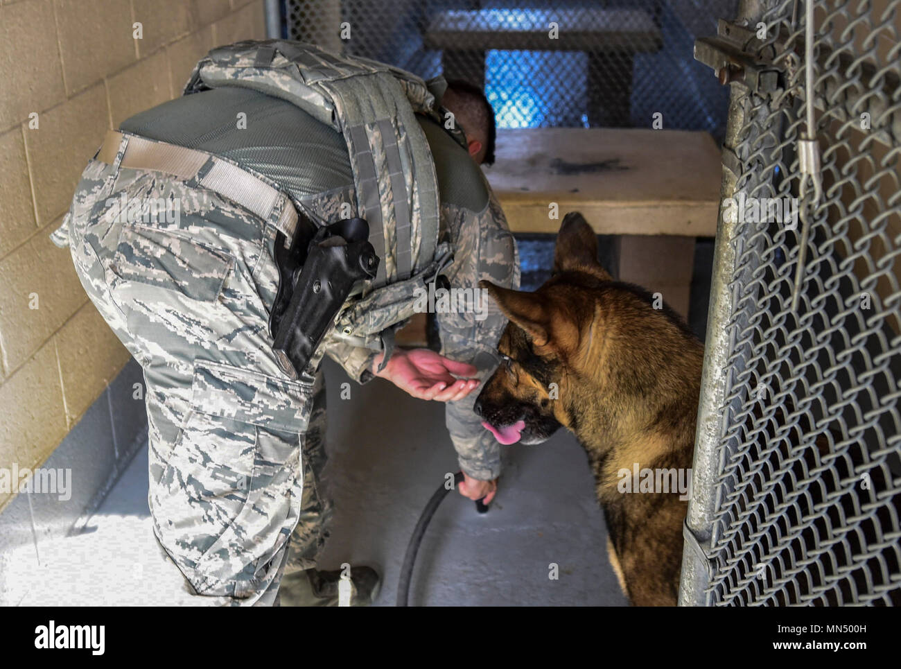 Senior Airman Ryne Wilson, 99th Security Forces Squadron military ...
