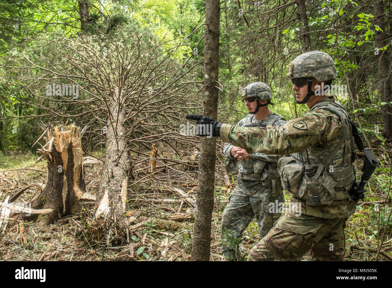 Abatis High Resolution Stock Photography and Images - Alamy