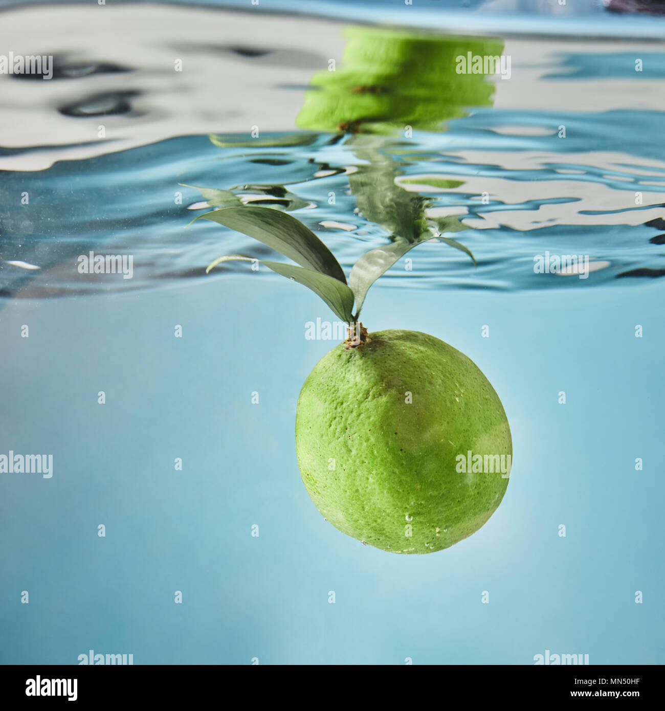 Fresh lime dropped into water with splash isolated on blue Stock Photo ...