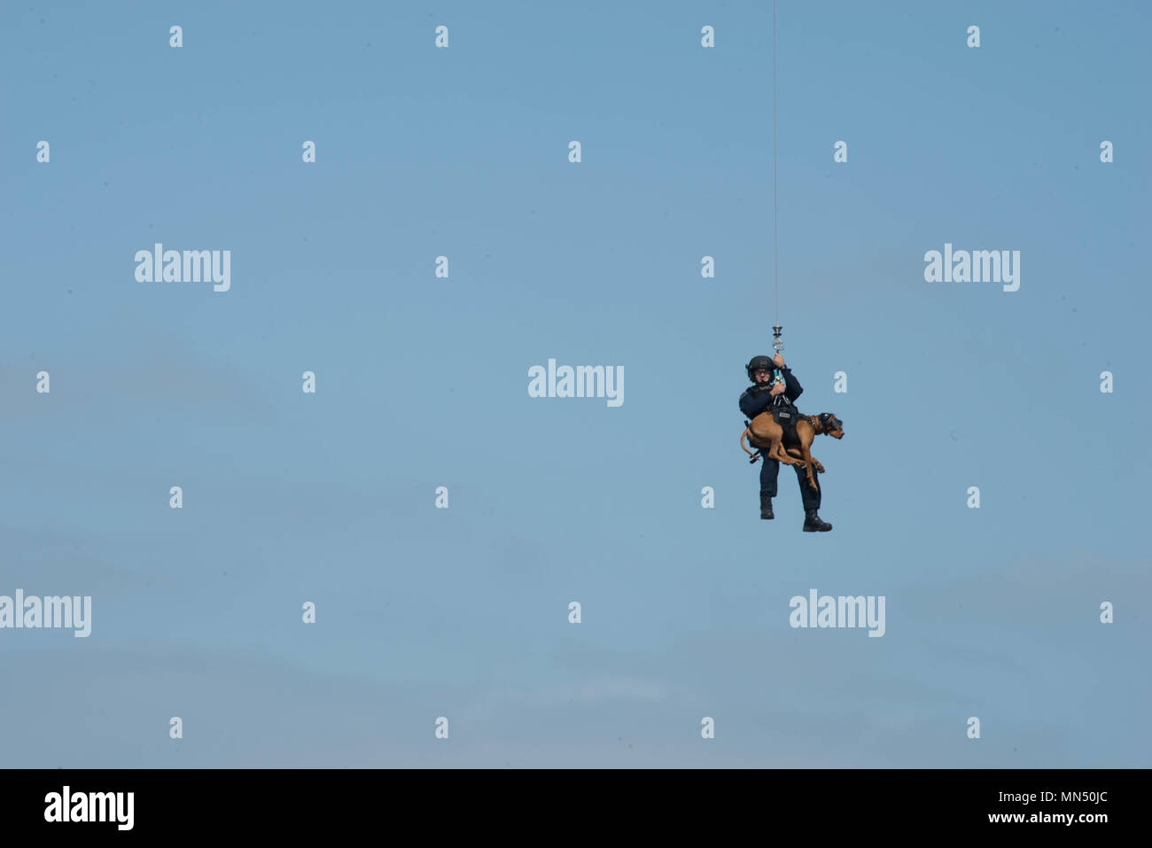 Petty Officer 1st Class Cory Sumner, a canine handler stationed at ...