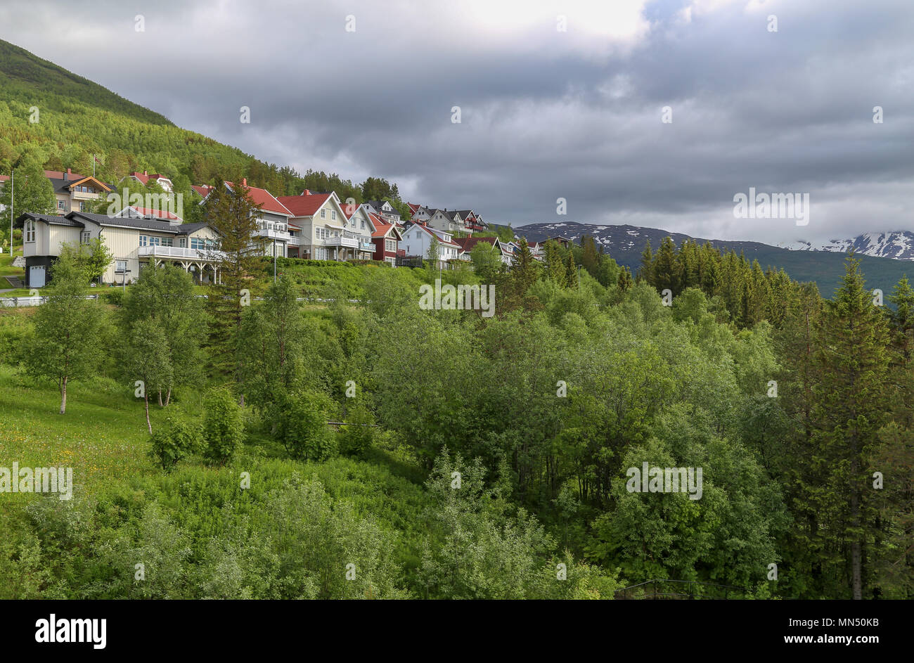 Narvik norway summer hi-res stock photography and images - Alamy
