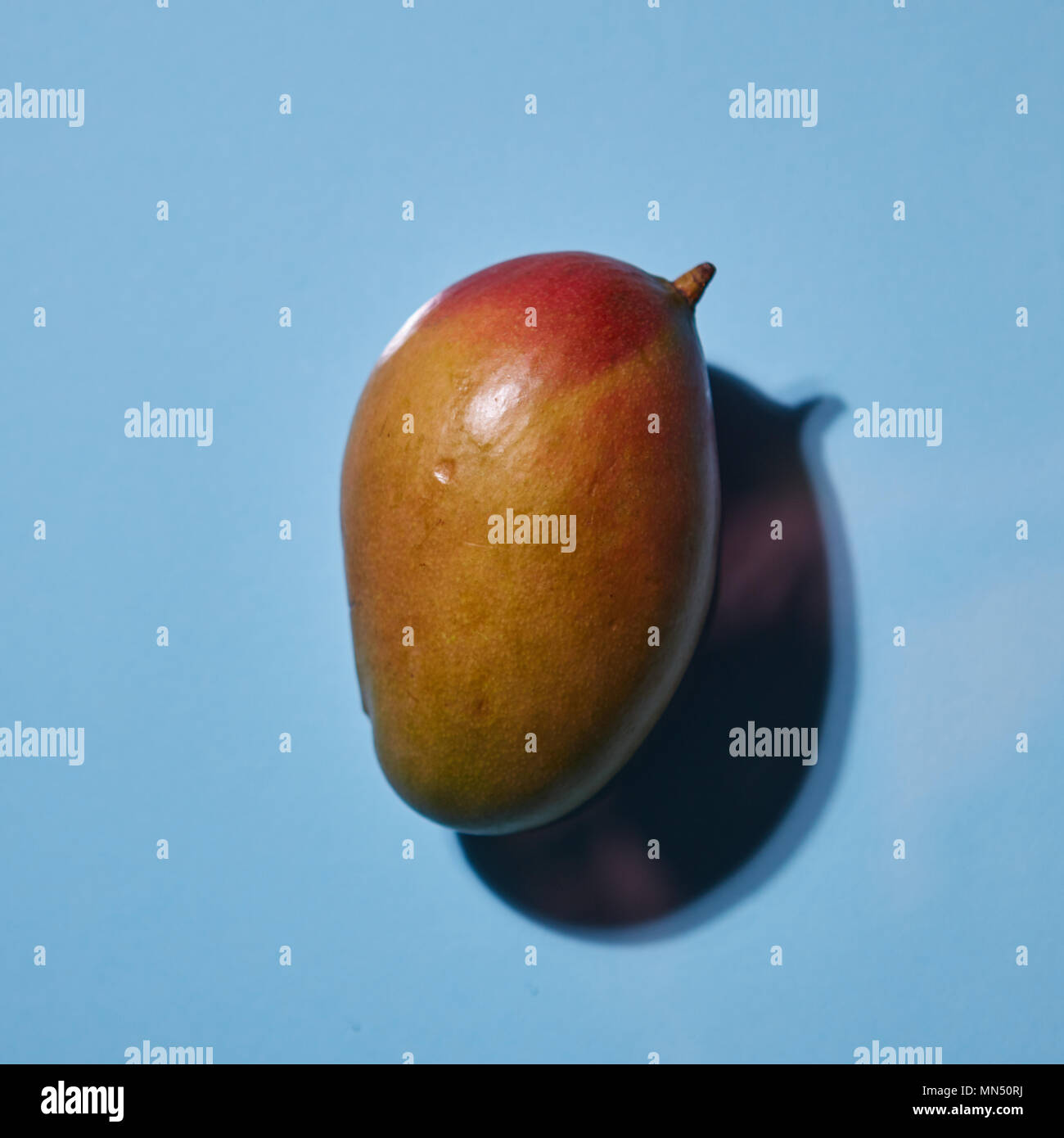 mango fruit isolated on blue background Stock Photo - Alamy