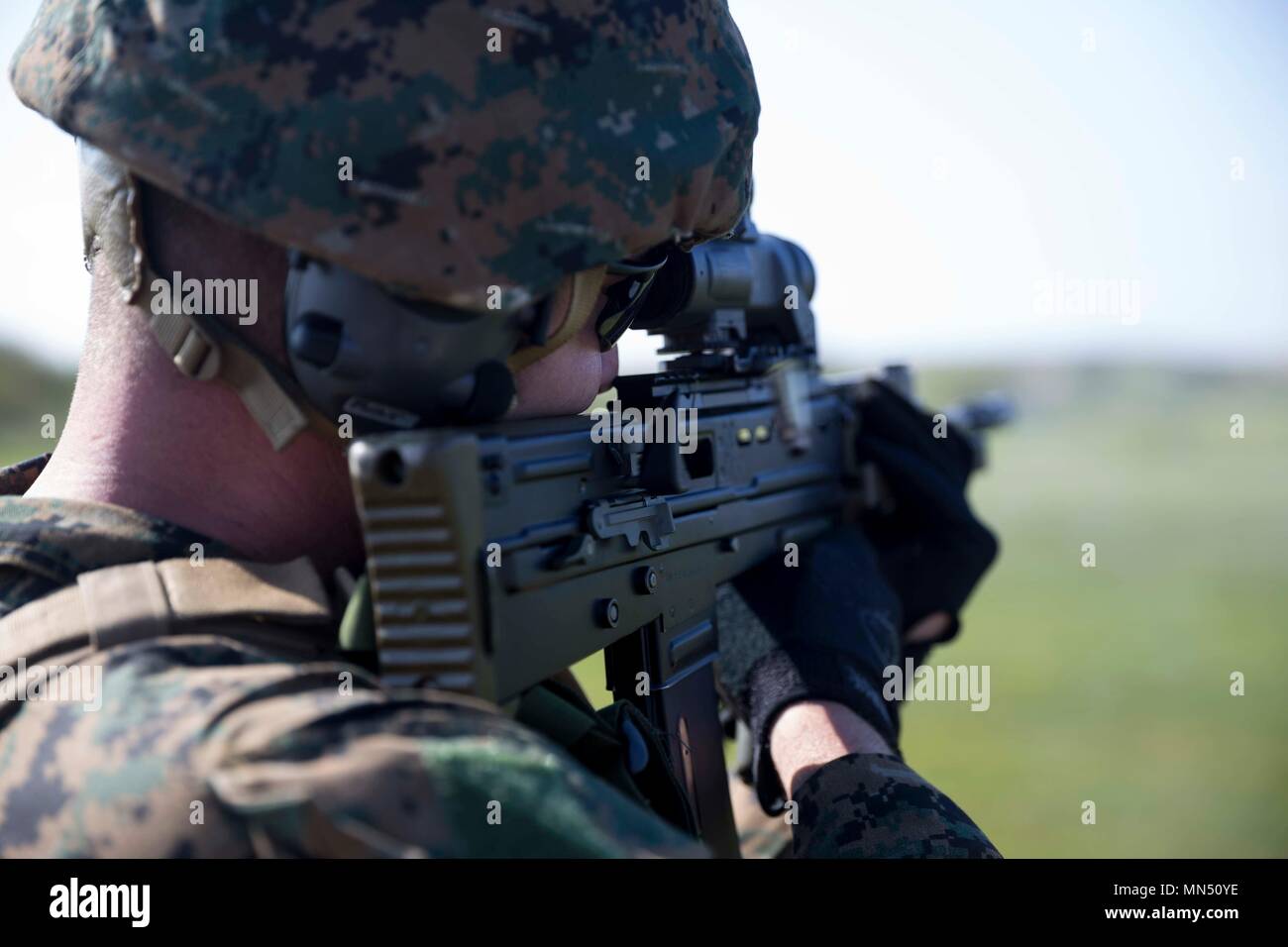 Tarkey hi-res stock photography and images - Alamy