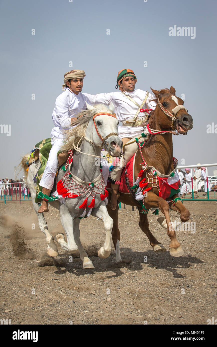 Arab race horse hi-res stock photography and images - Alamy