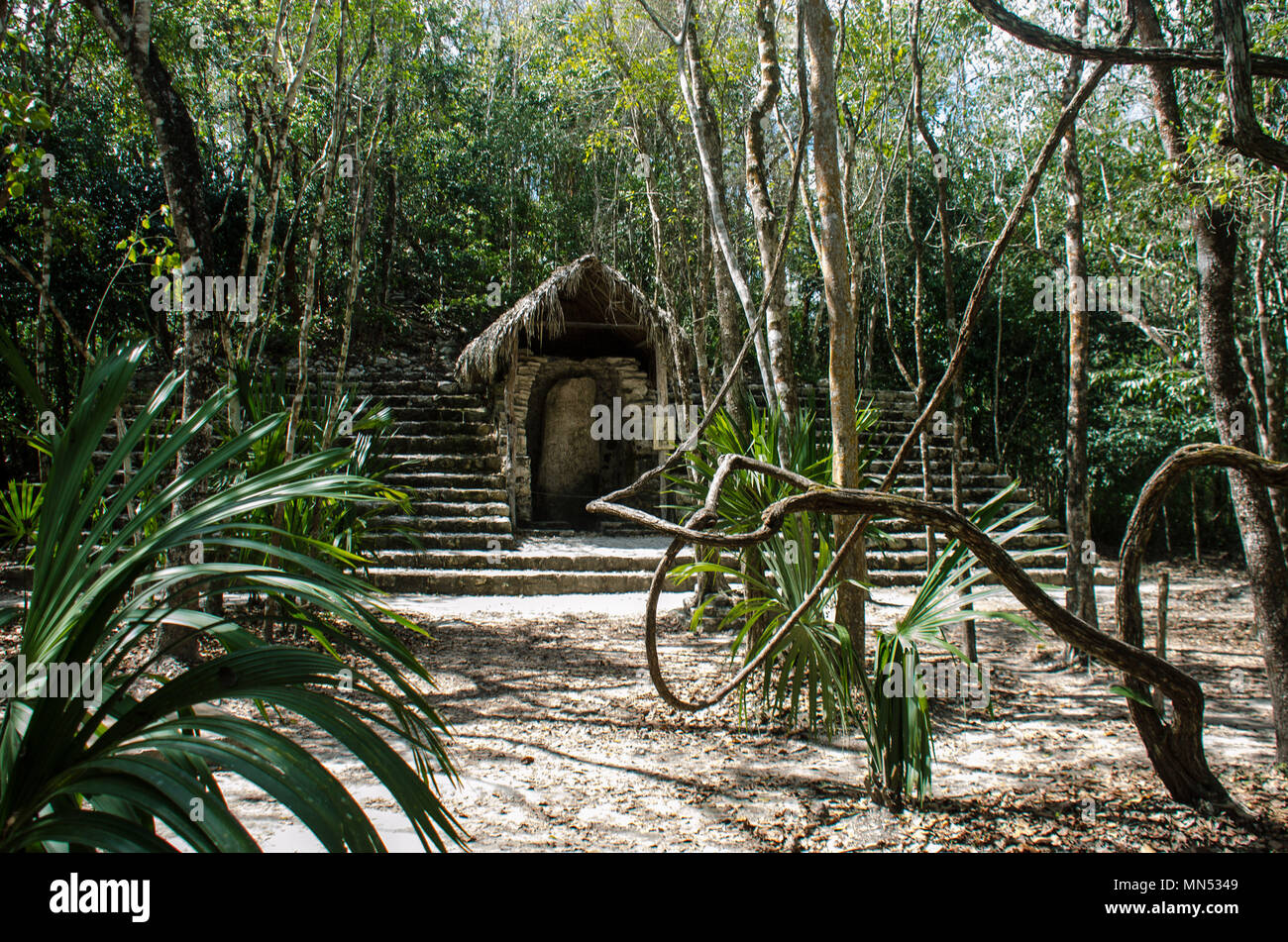 Ancient ruins and trees at the archaeological site of Coba Stock Photo ...