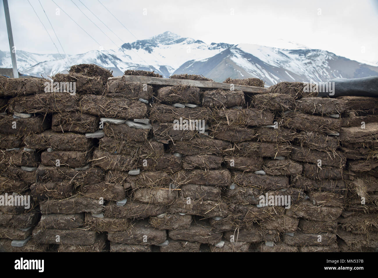 Bricks for heating of premises from manure and hay Stock Photo - Alamy