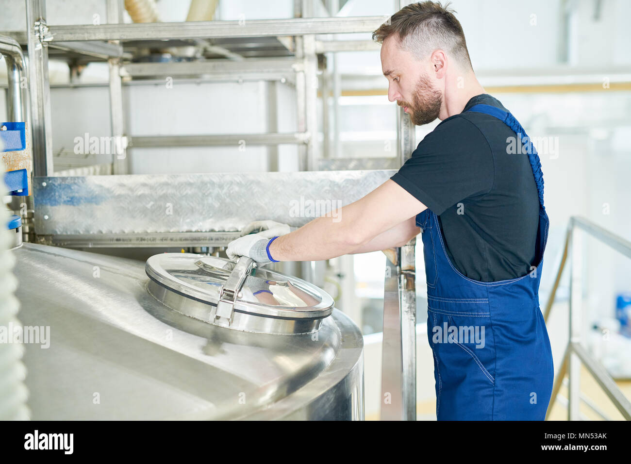 Profile view of bearded dairy factory worker wearing overall standing ...