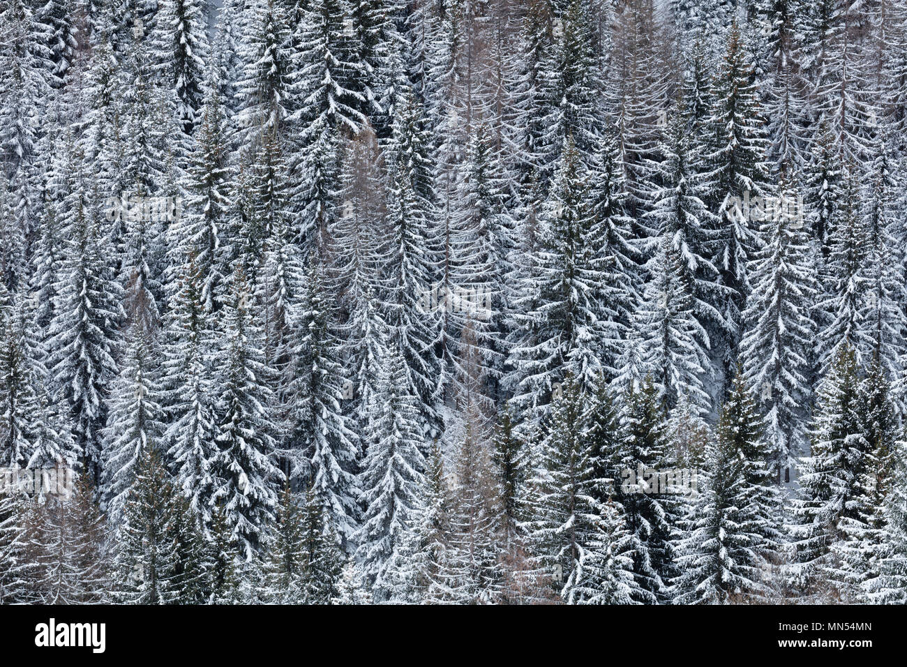 Snow valais hi-res stock photography and images - Alamy