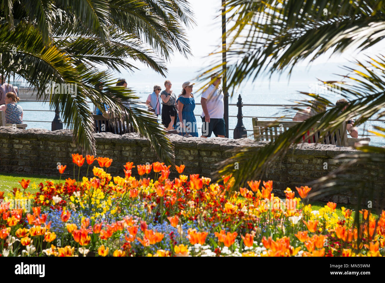 Torquay promenade uk hi-res stock photography and images - Alamy