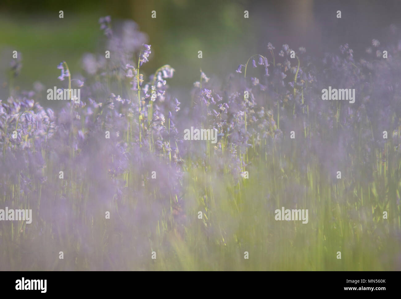 Jenna chamberlain Stock Photos & Images from Alamy