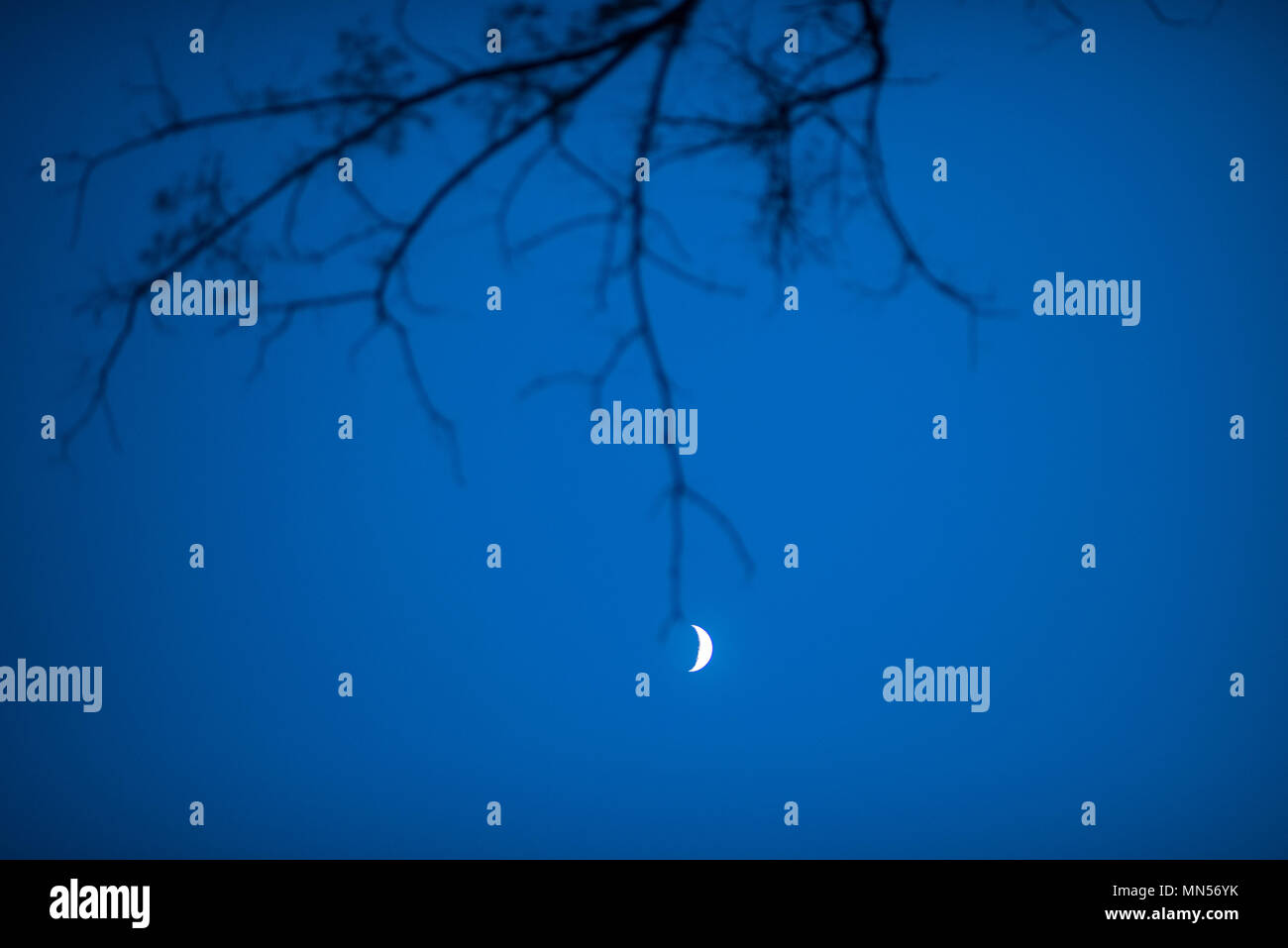 Natural light beautiful scene magnificent pictures Stock Photo - Alamy