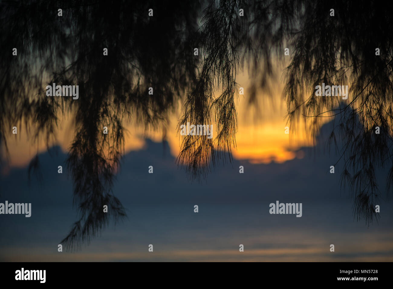 Natural light beautiful scene magnificent pictures Stock Photo - Alamy