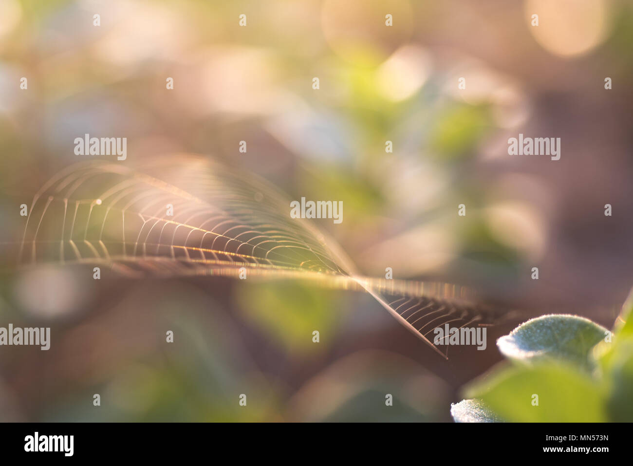 Natural light beautiful scene magnificent pictures Stock Photo - Alamy