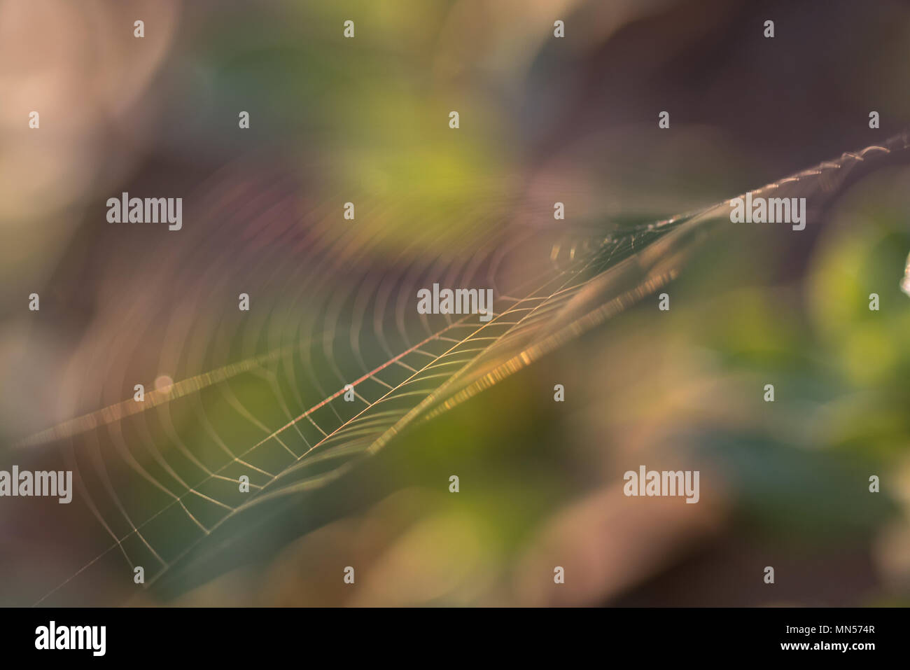 Natural light beautiful scene magnificent pictures Stock Photo - Alamy