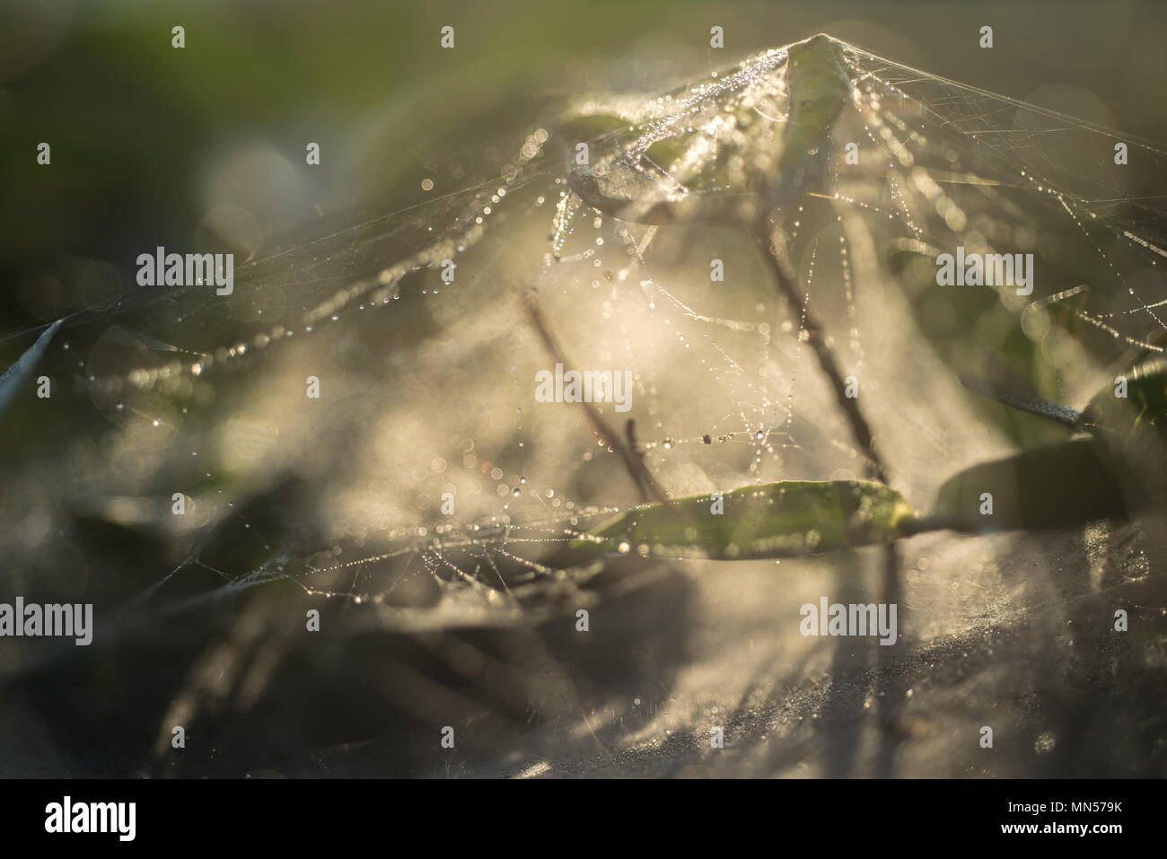Natural light beautiful scene magnificent pictures Stock Photo - Alamy