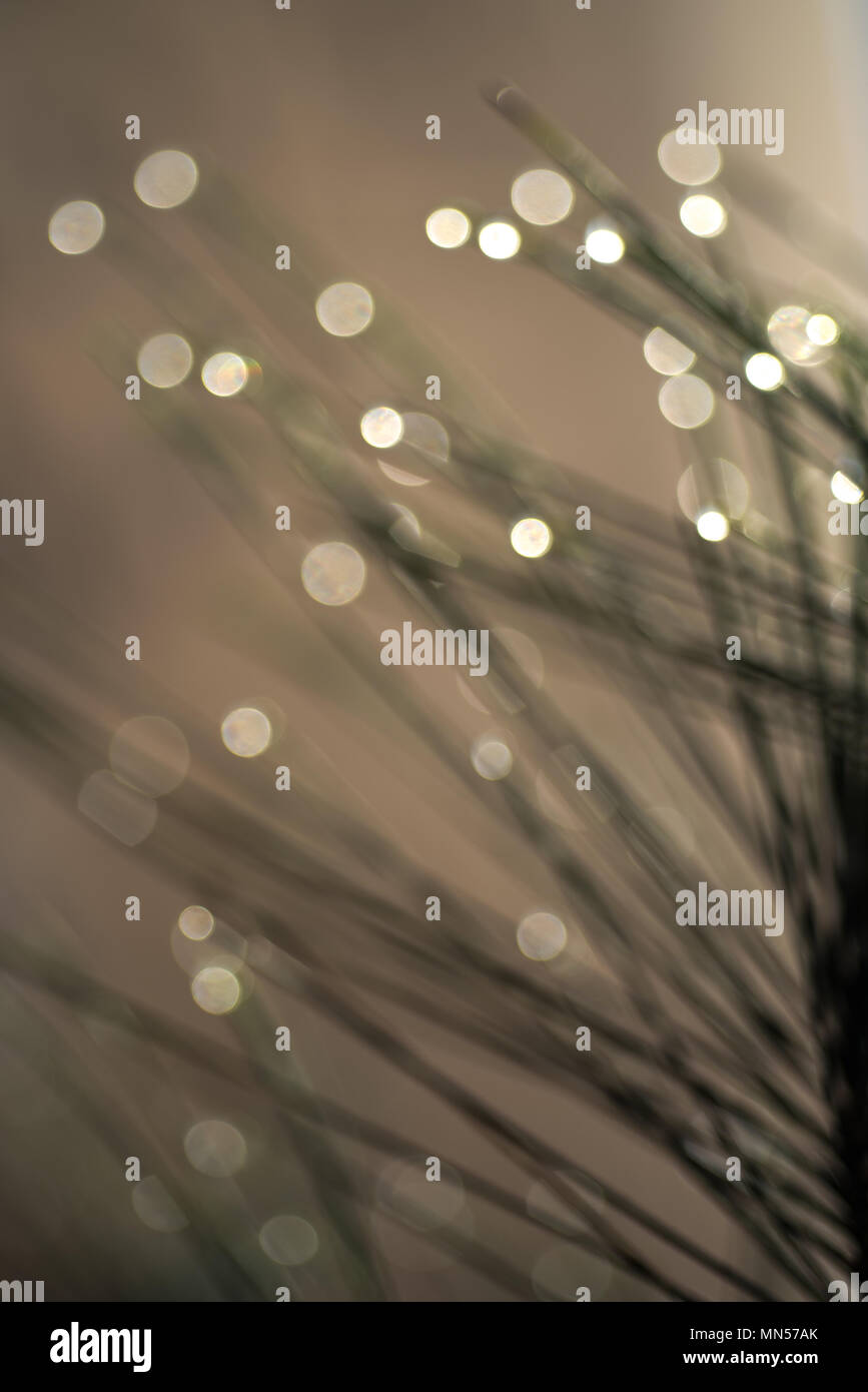 Natural light beautiful scene magnificent pictures Stock Photo - Alamy