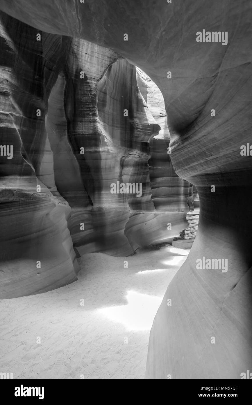 Natural sunlight beams Black and White Stock Photos & Images - Alamy