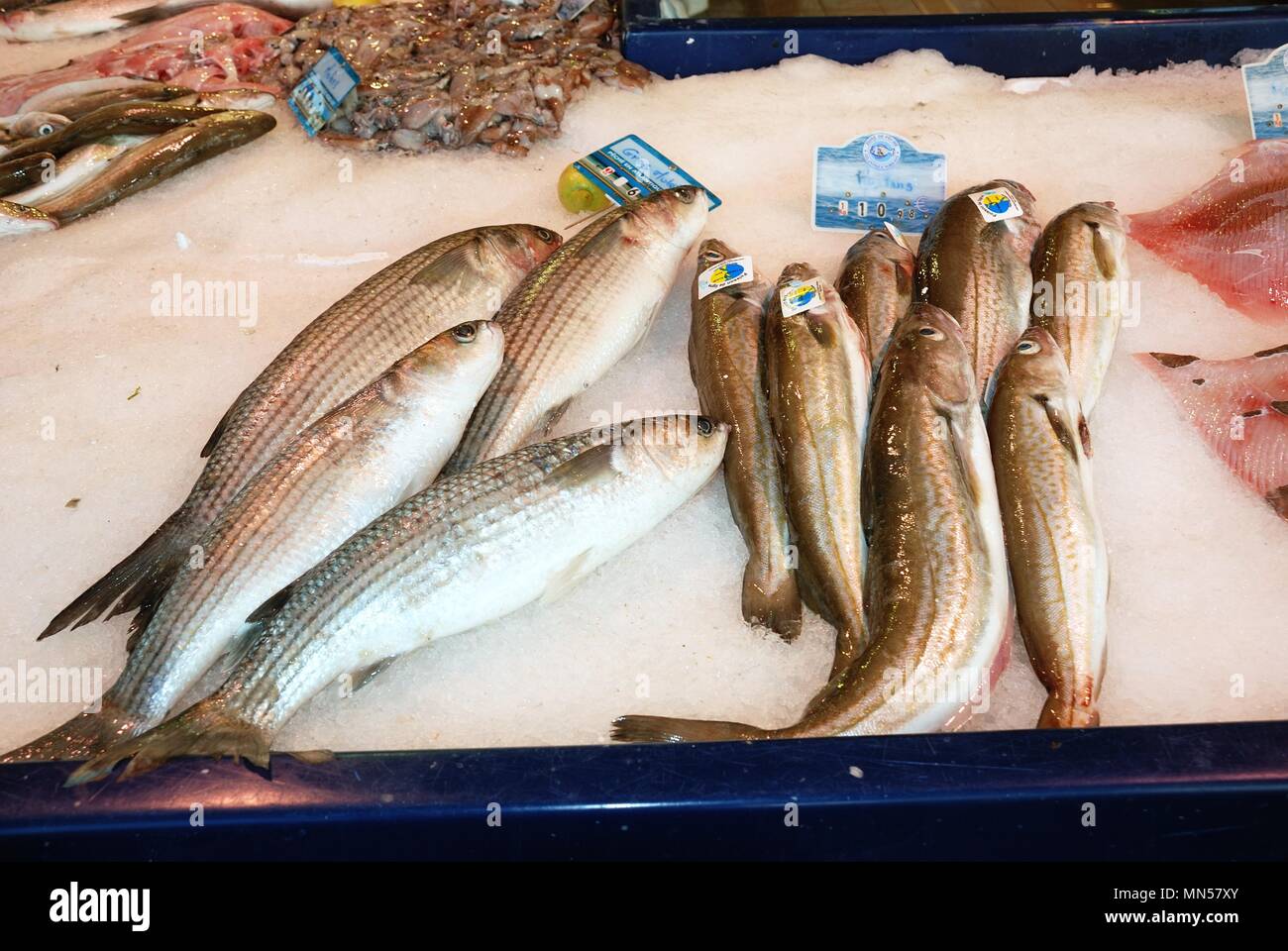 Jonzac, fishmonger's stall inside the Halles Stock Photo - Alamy