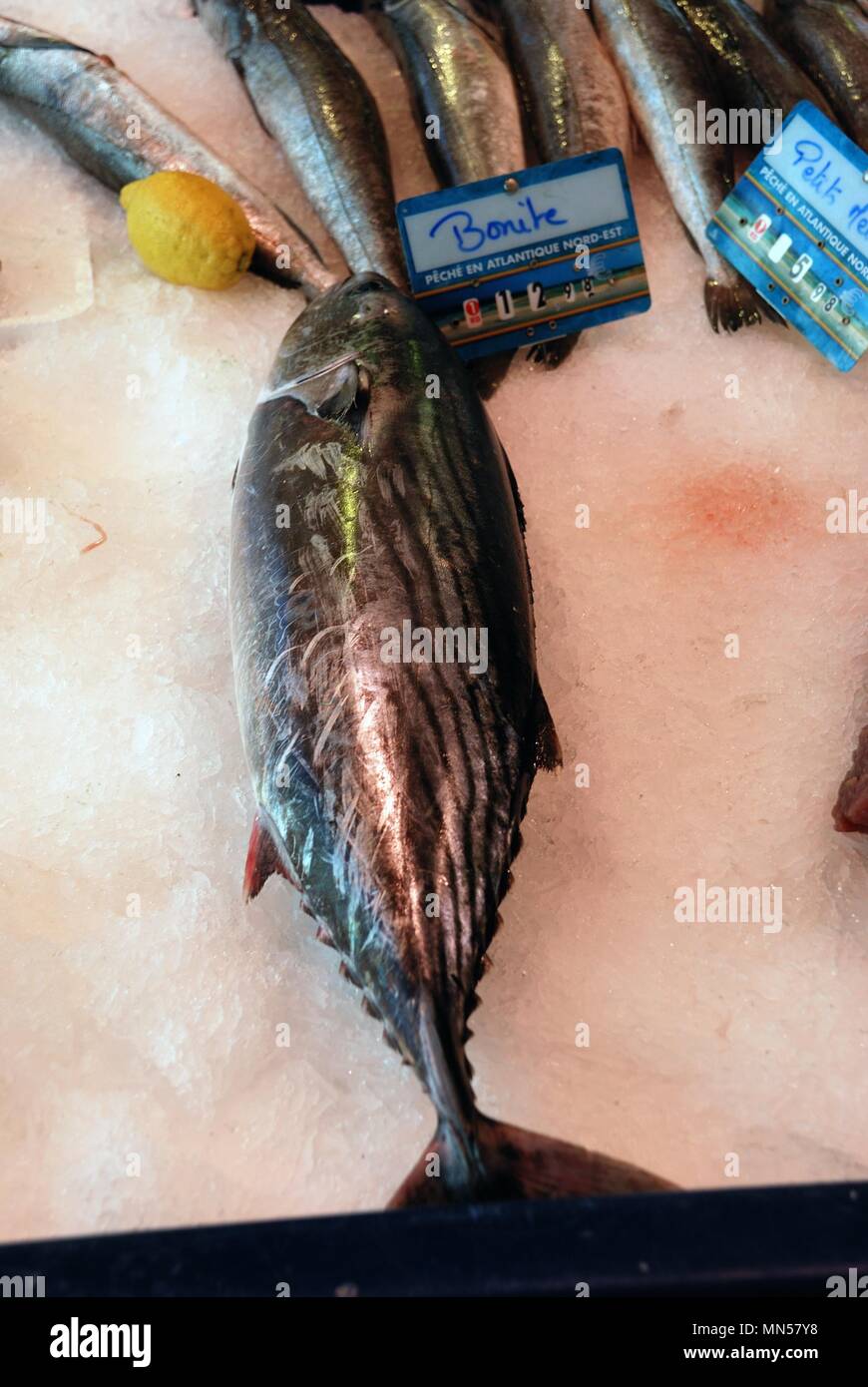 Jonzac, fishmonger's stall inside the Halles Stock Photo - Alamy
