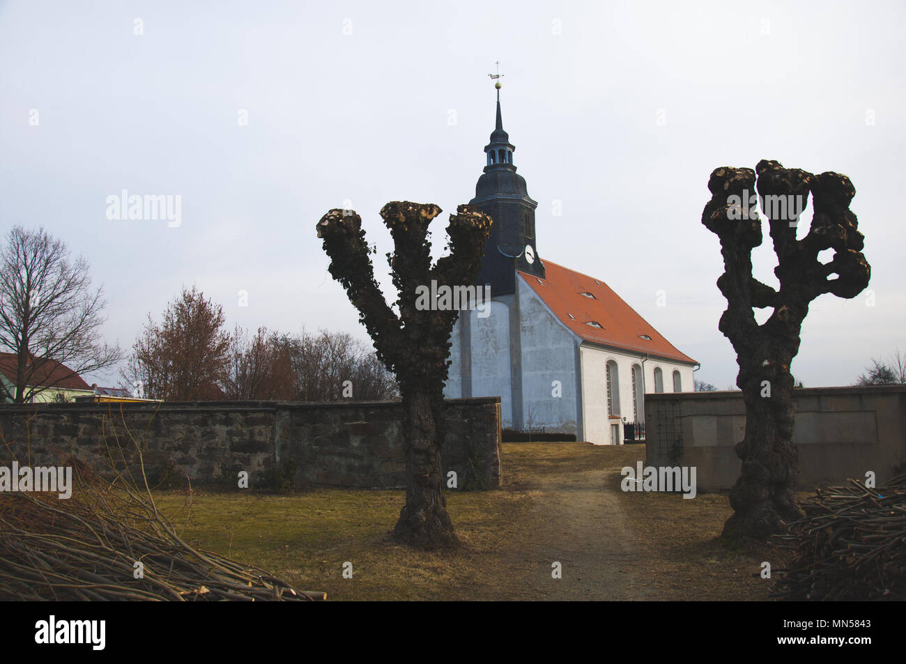 Trees with renaissance church in background in the east Germany in ...