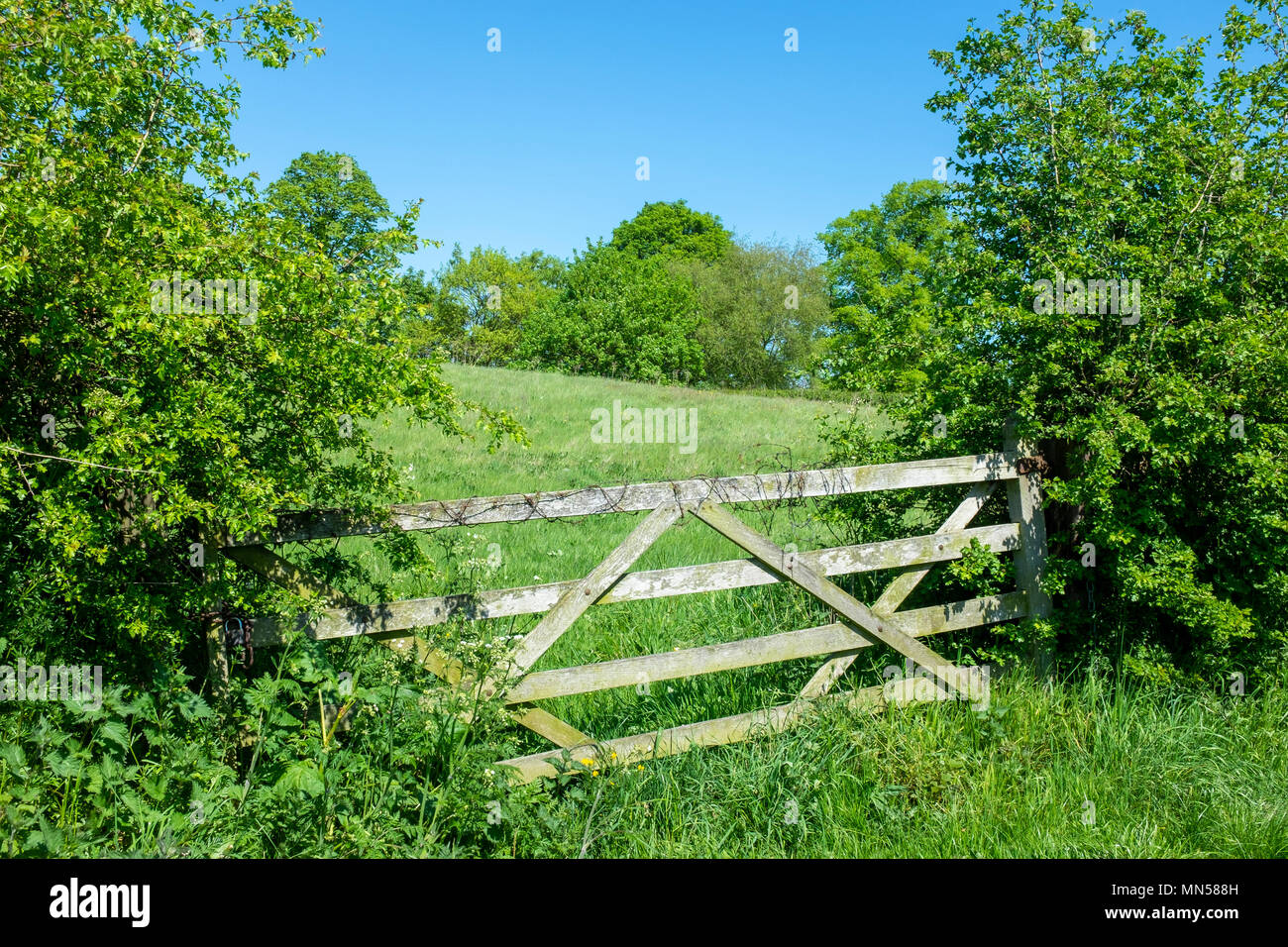 Countryside view over gate in Cheshire UK Stock Photo - Alamy