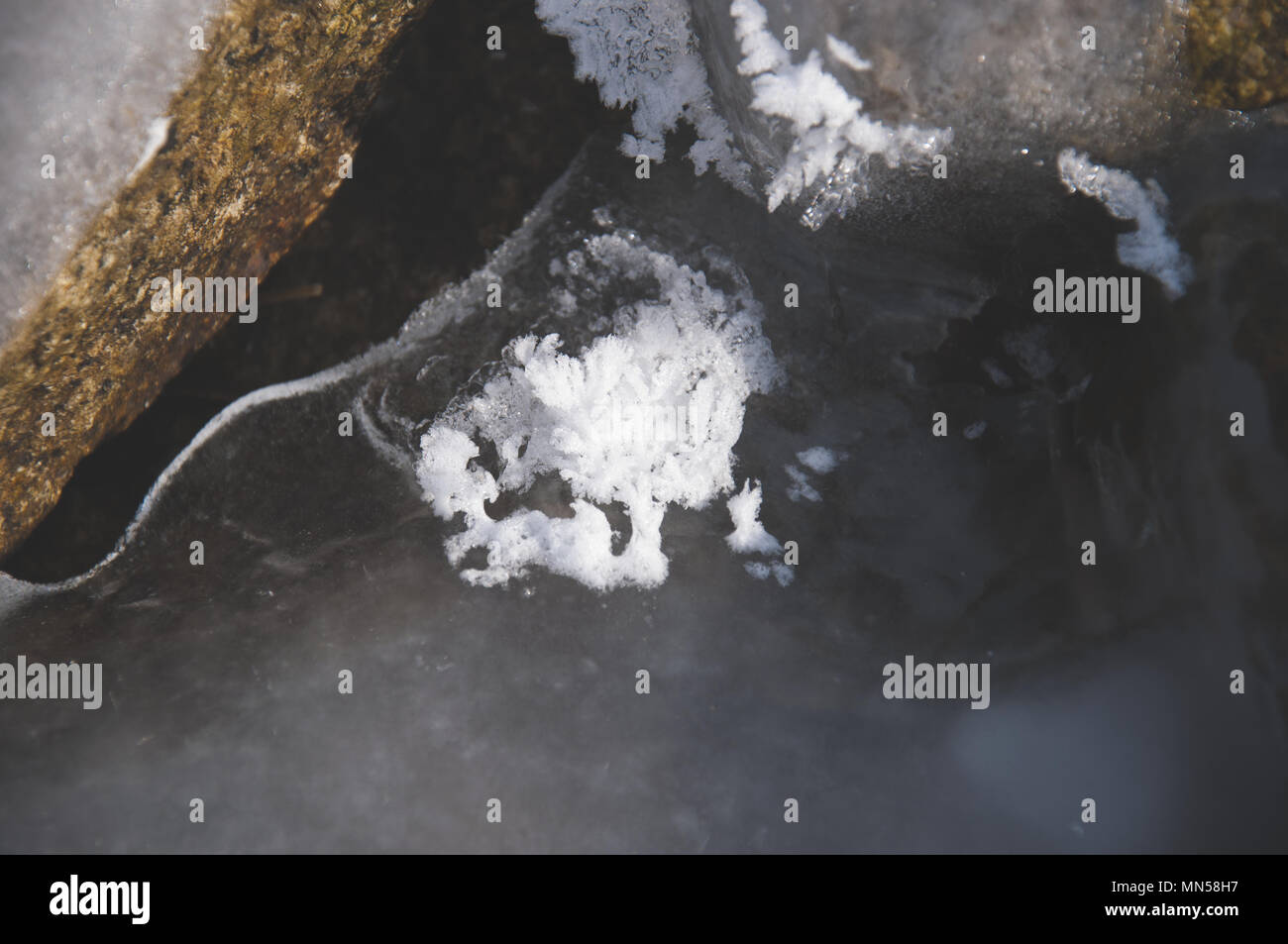 Detail of the crystalic structure of ice built on the ice flat surface ...