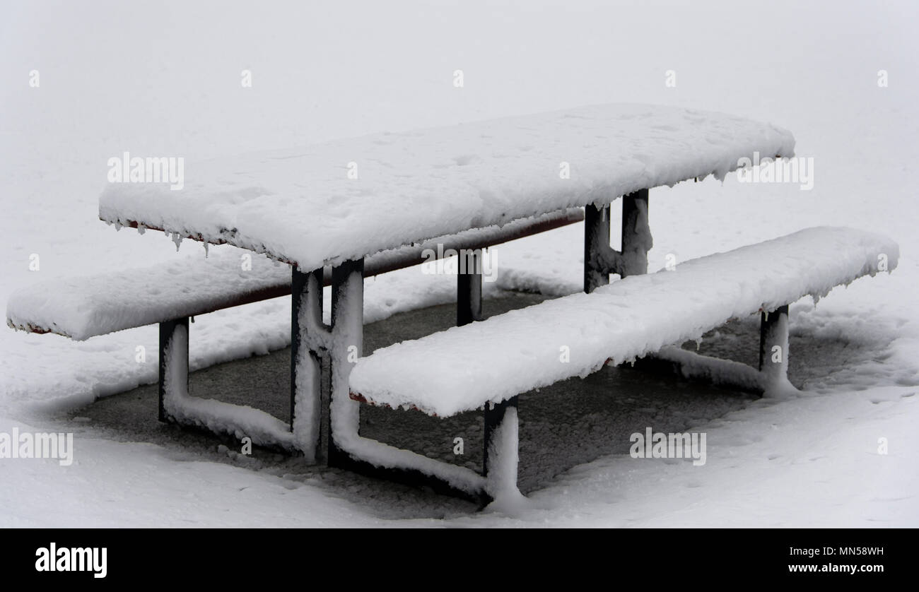 Picnic table park hi-res stock photography and images - Alamy