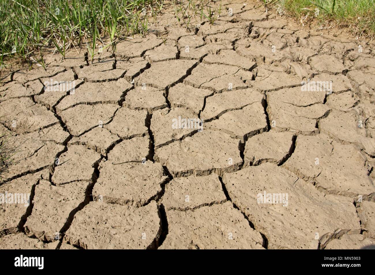 Clay Soil High Resolution Stock Photography and Images - Alamy