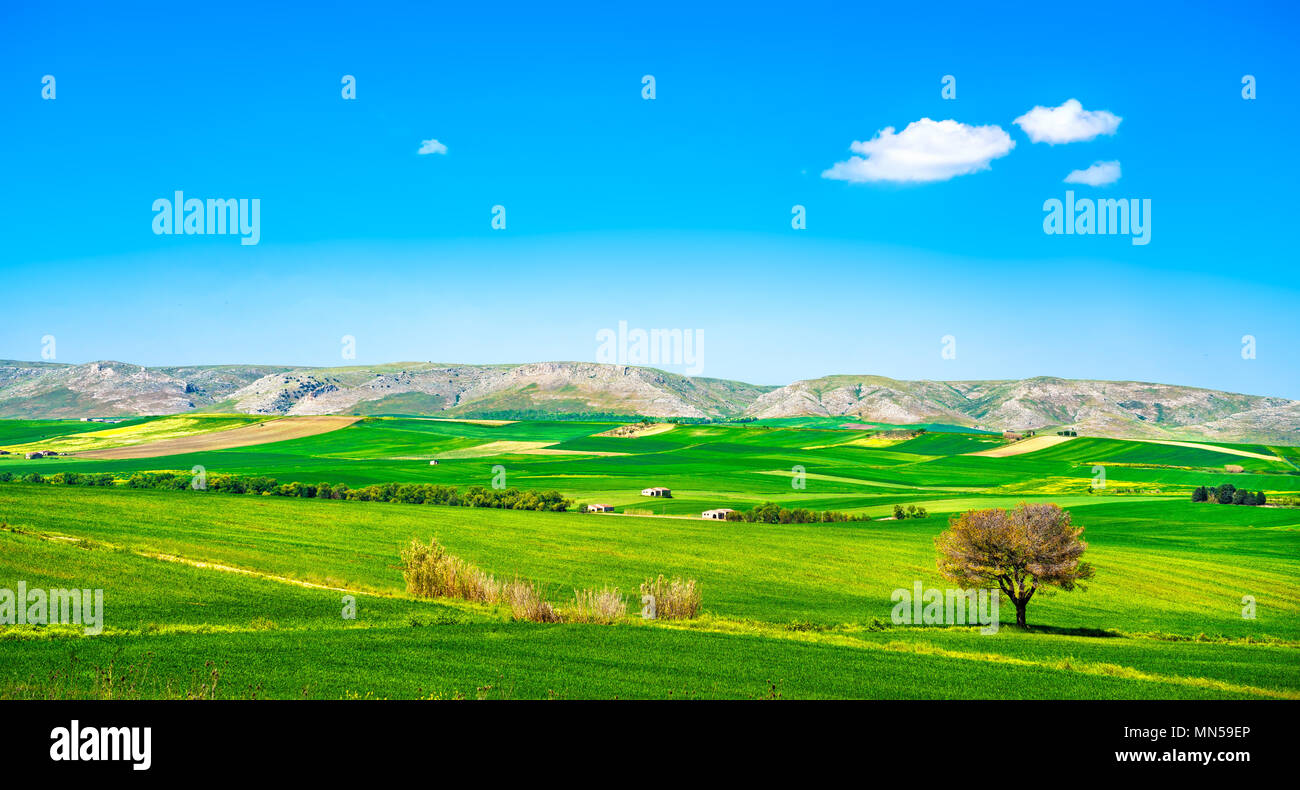 Apulia countryside view, rolling hills and green fields landscape ...