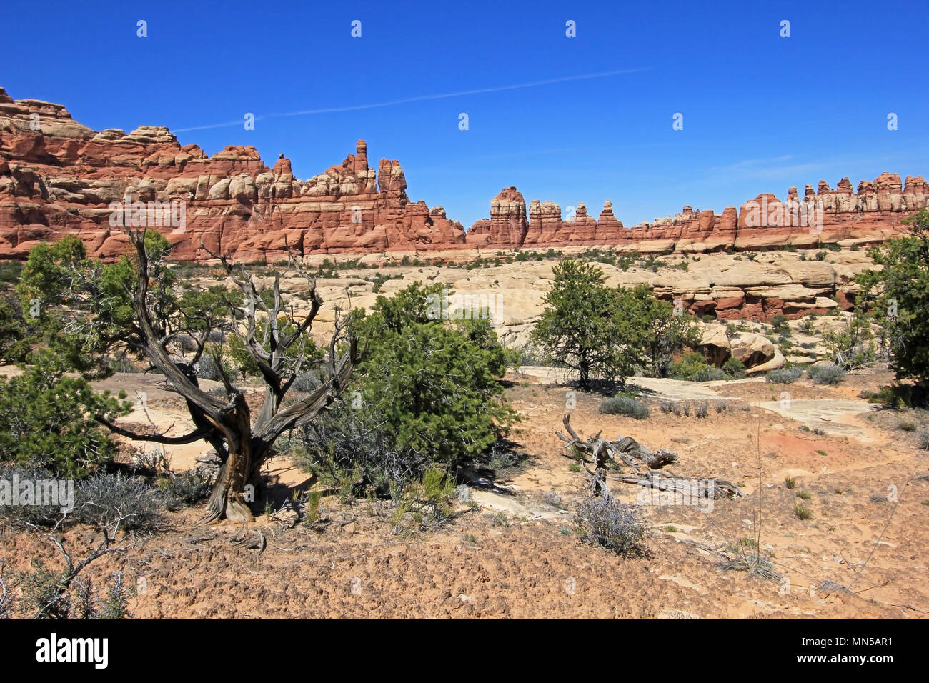 Rock needle needles district canyonlands hi-res stock photography and ...