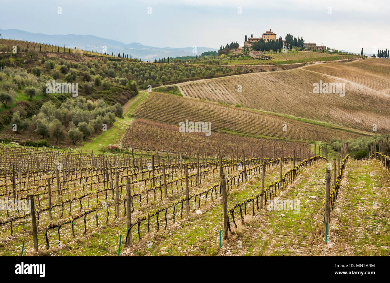 Tuscan chianti countryside hi-res stock photography and images - Alamy