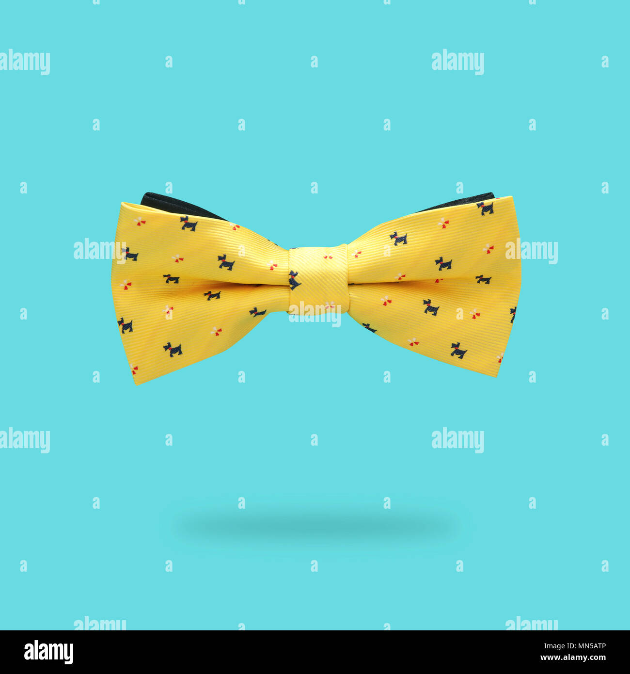 Pastel blue bowtie hi-res stock photography and images - Alamy