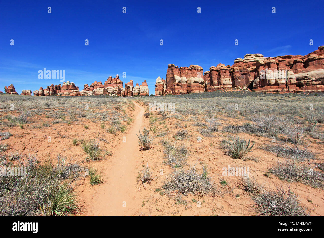 Needles District in Canyonlands National Park, Utah Stock Photo - Alamy