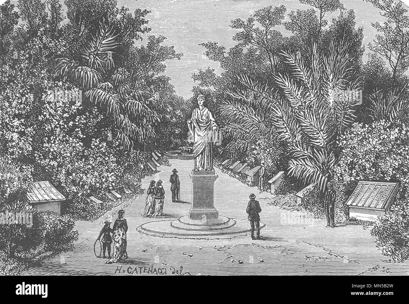 AUSTRALIA. South Australia. The Botanical Gardens, Adelaide 1886 old ...
