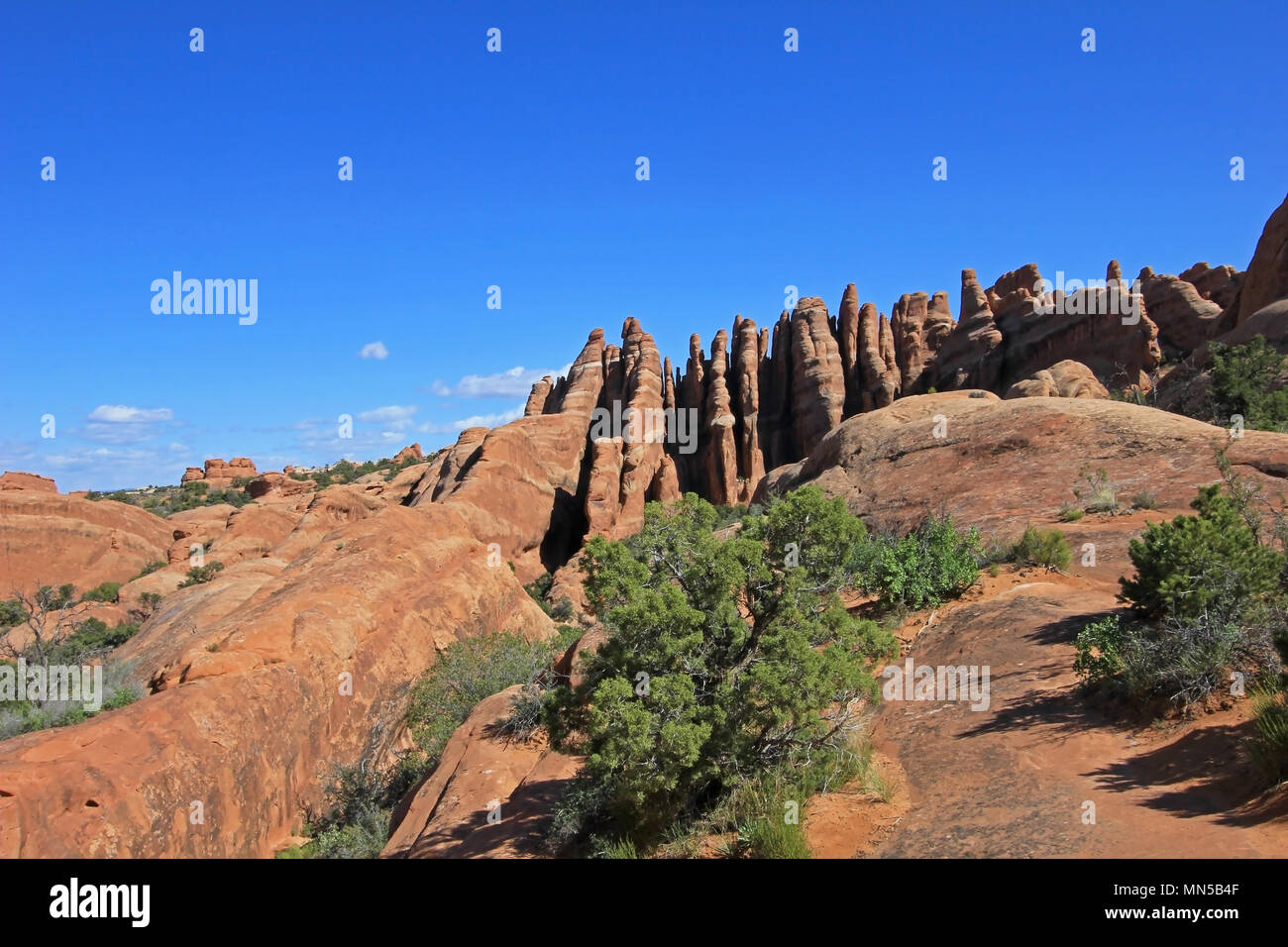 Privatearch hi-res stock photography and images - Alamy