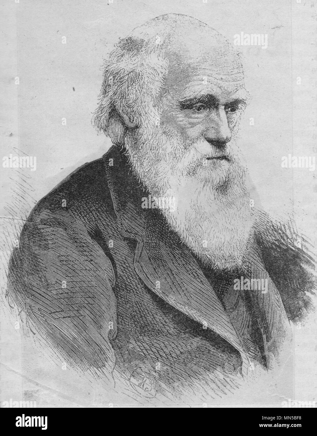 Darwin theory of evolution illustration hi-res stock photography and ...