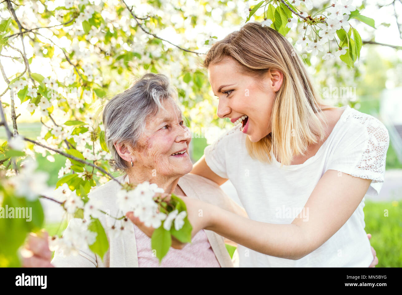 Elderly grandmother and an adult granddaughter standing under tree ...
