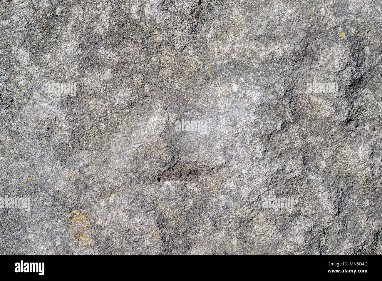 Grey rock grainy texture Stock Photo - Alamy