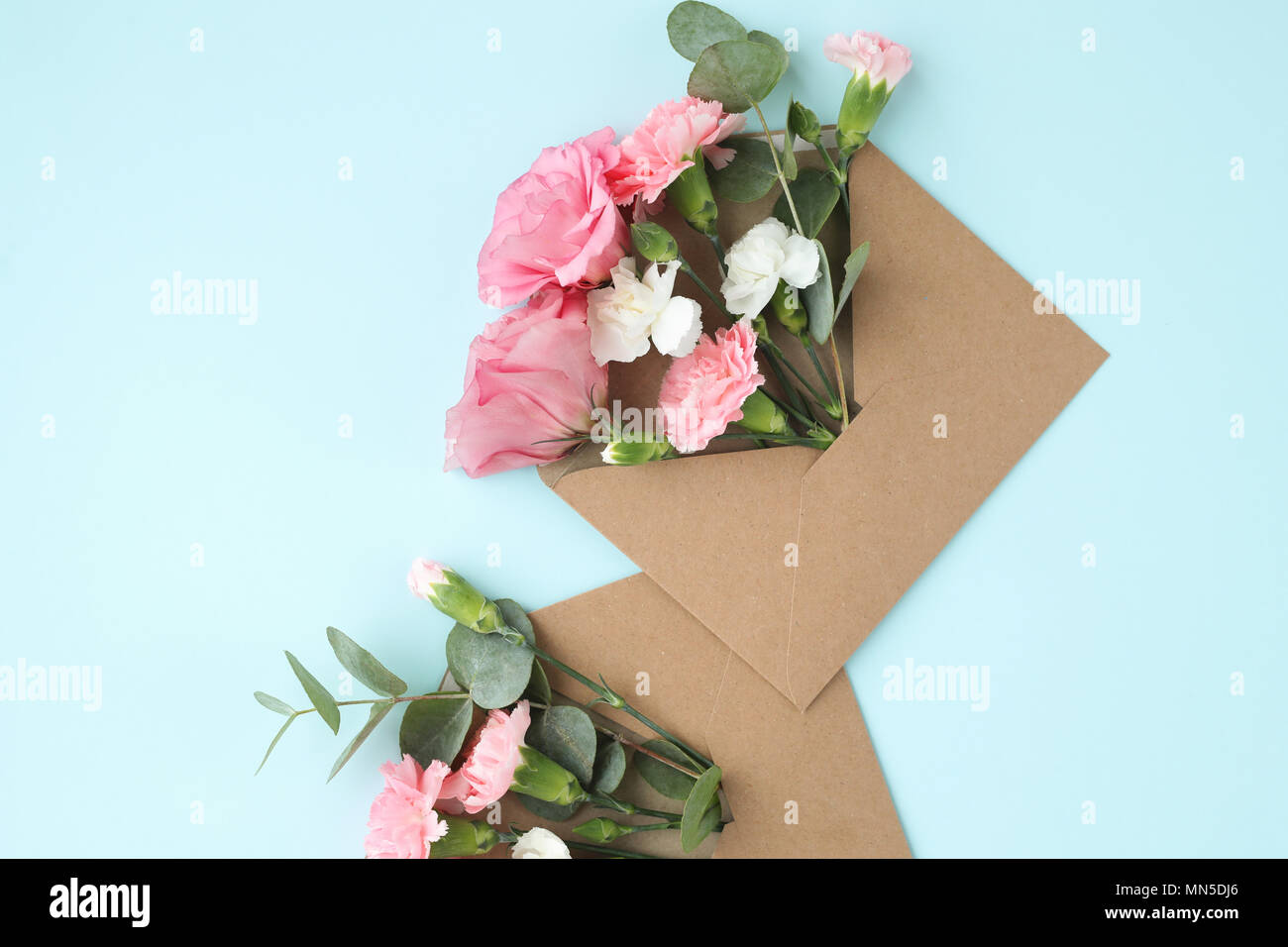 Pleasant flowers of soft colors Stock Photo - Alamy