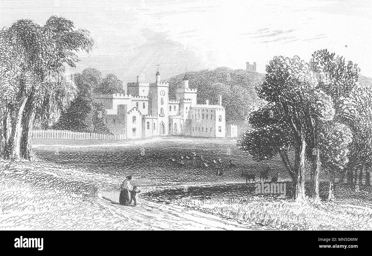 DEVON. Powderham Castle, Devon. DUGDALE 1845 old antique vintage print ...