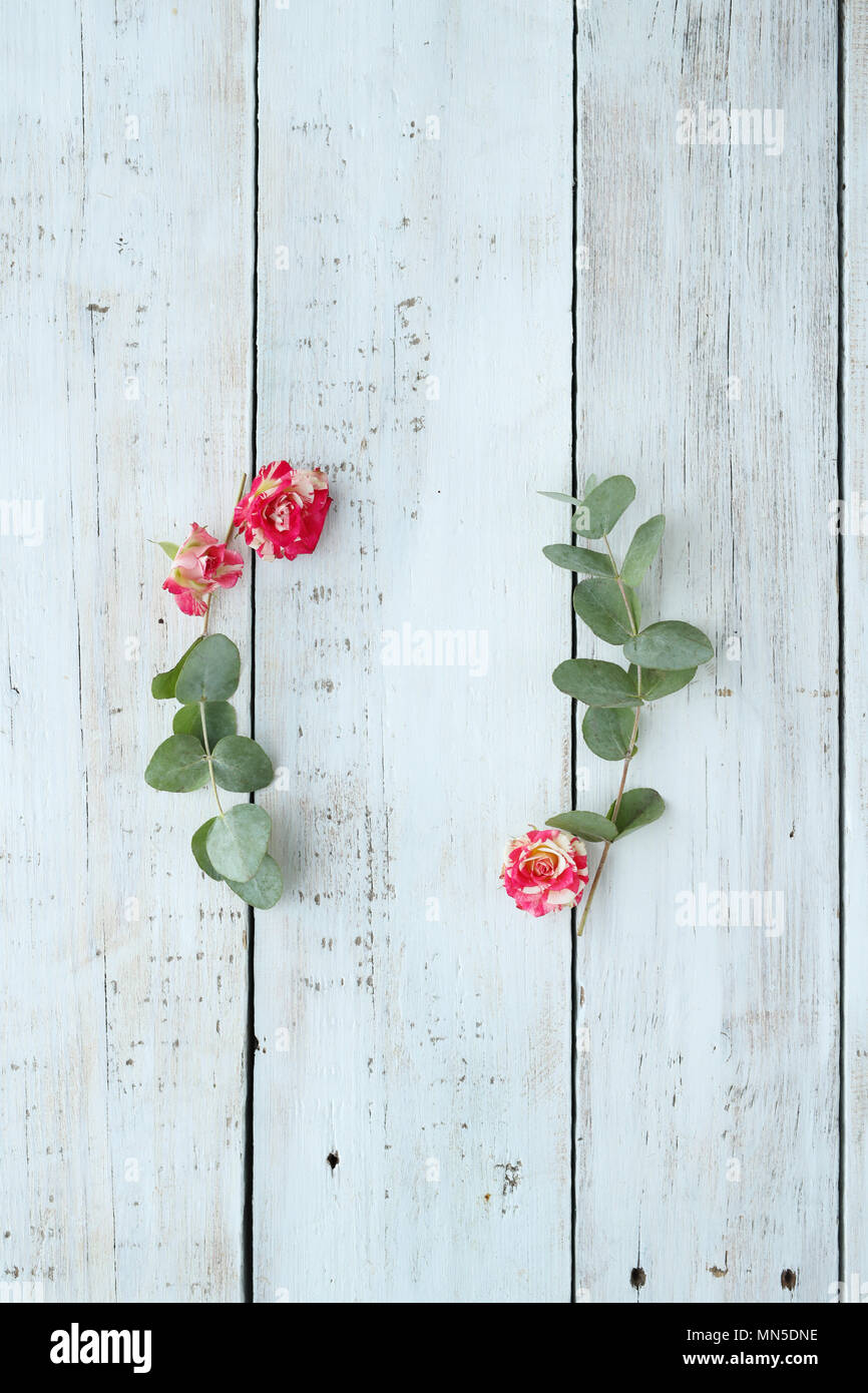 Pleasant flowers hi-res stock photography and images - Alamy