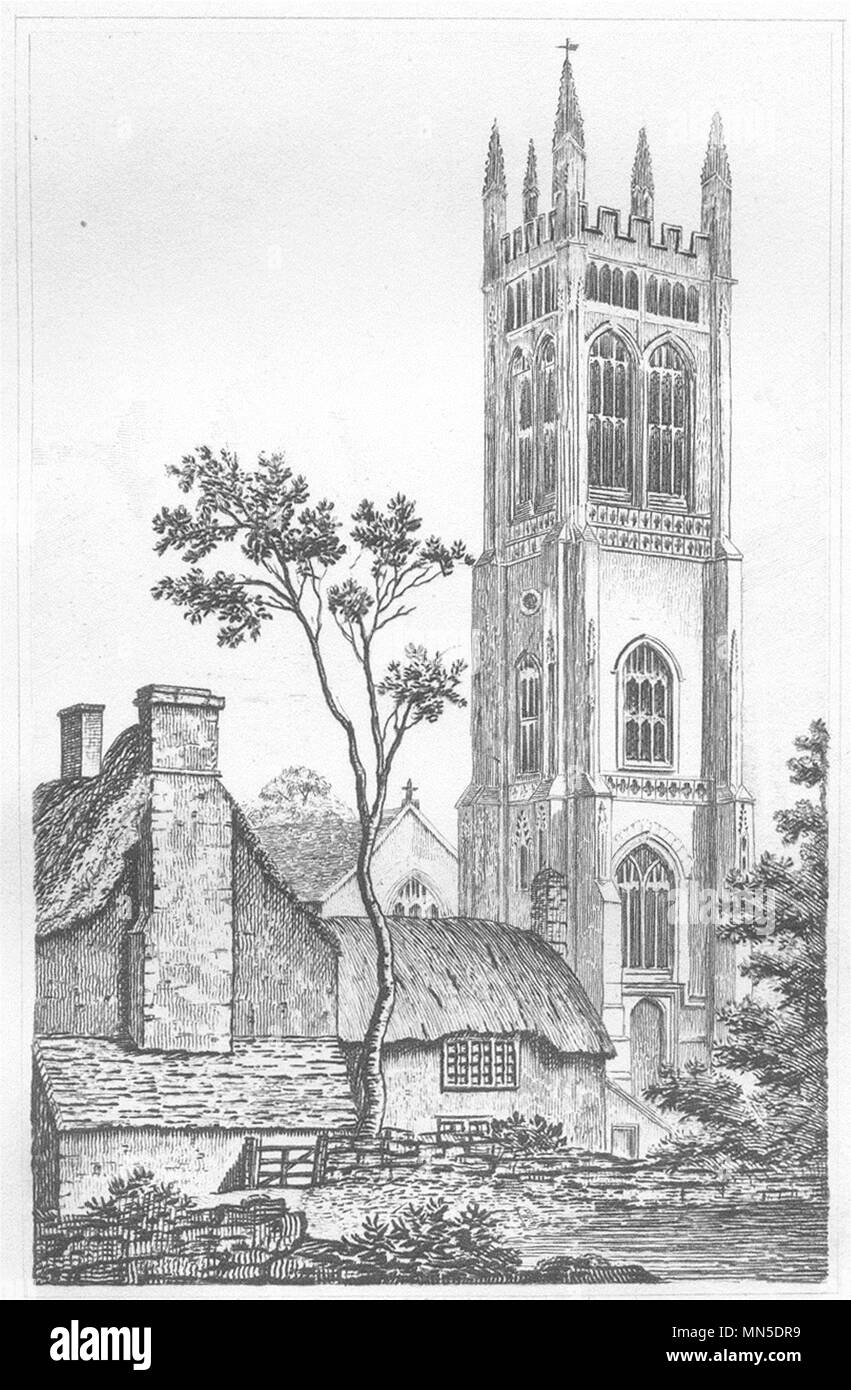 Probus hi-res stock photography and images - Alamy