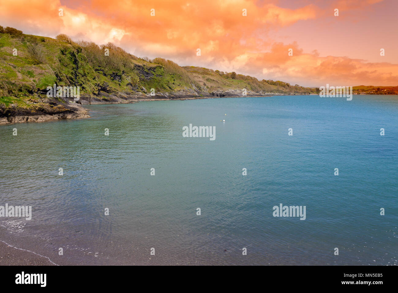 evening landscape in county cork, ireland with the sunset shining ...