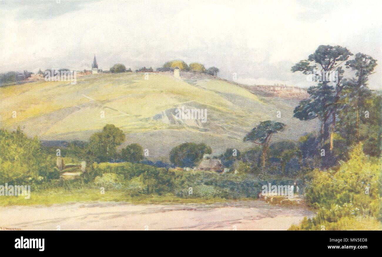 DEVON. Torrington 1908 old antique vintage print picture Stock Photo ...