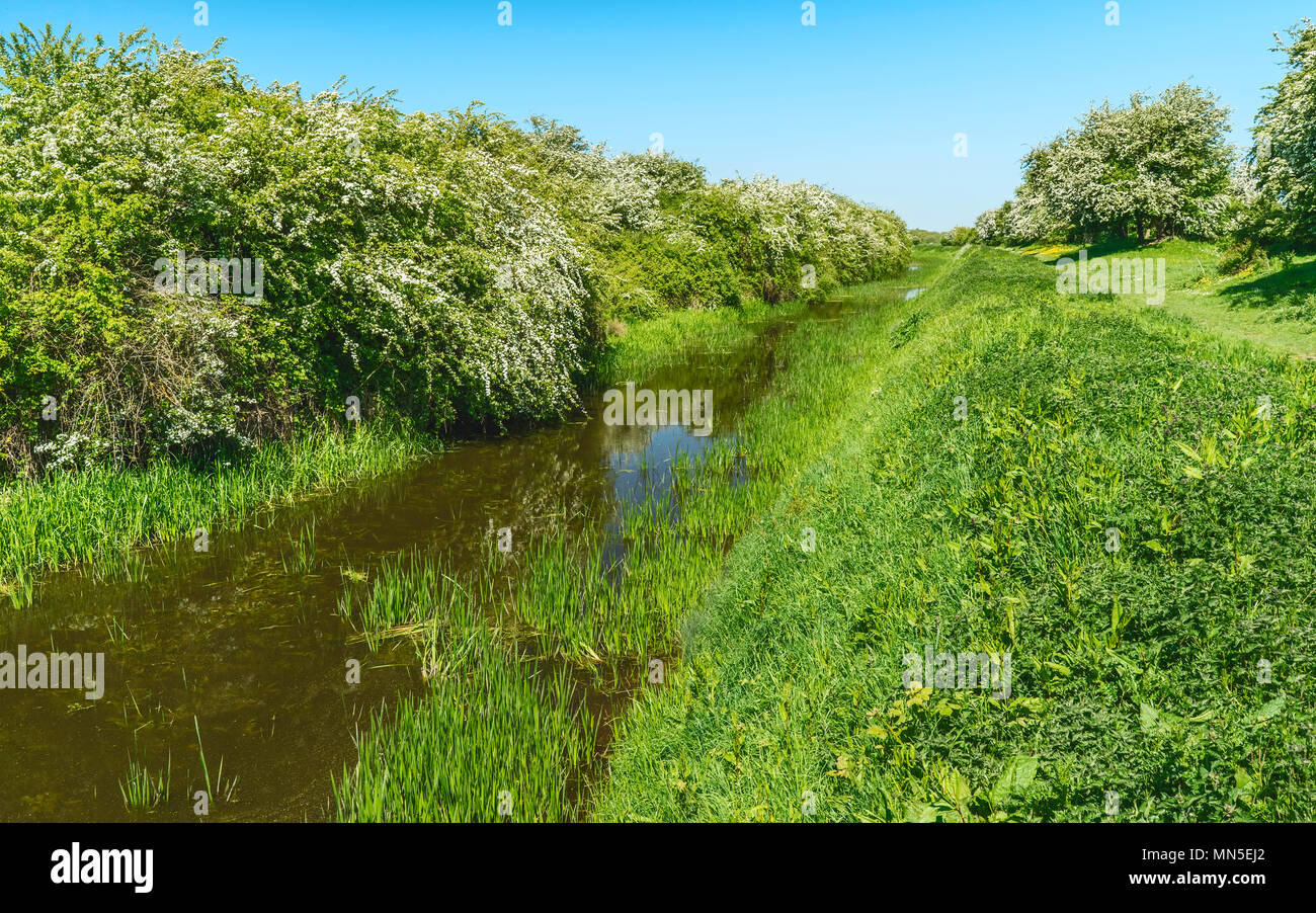 Barmston drain yorkshire hi-res stock photography and images - Alamy