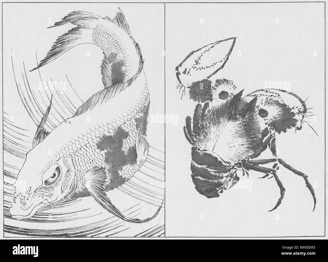 JAPAN. Fish and Crab. By Hokusai 1890 old antique vintage print picture ...