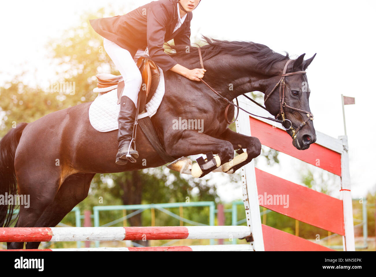 Young rider man jumping on horse over obstacle on show jumping ...