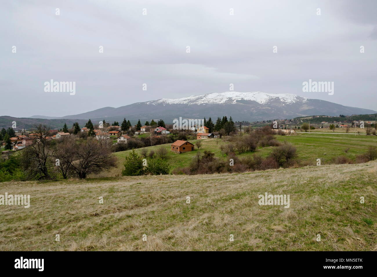 Scene with springtime glade, forest, residential district of bulgarian ...
