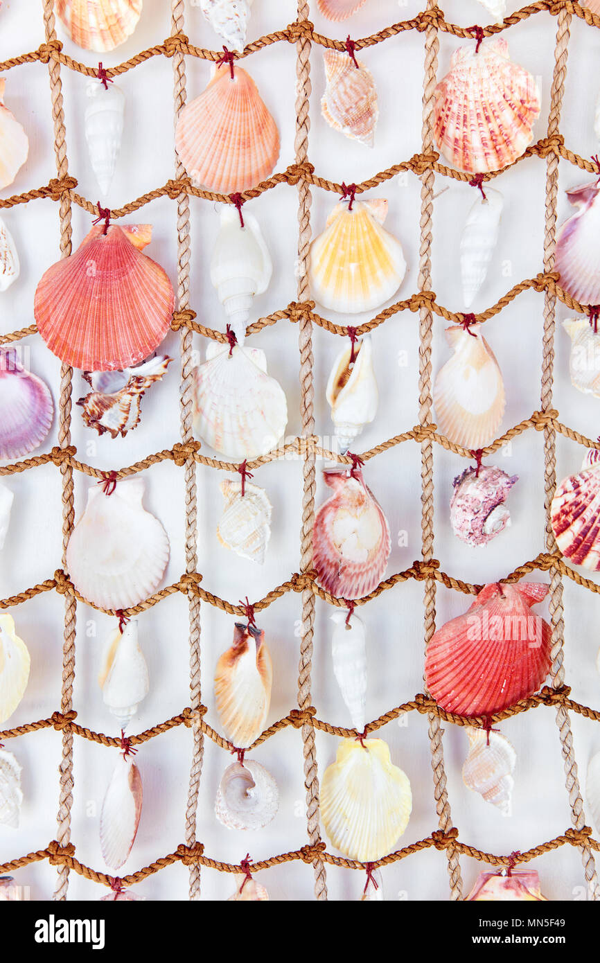 Decorative colorful seashells hanging on a white wall Stock Photo - Alamy